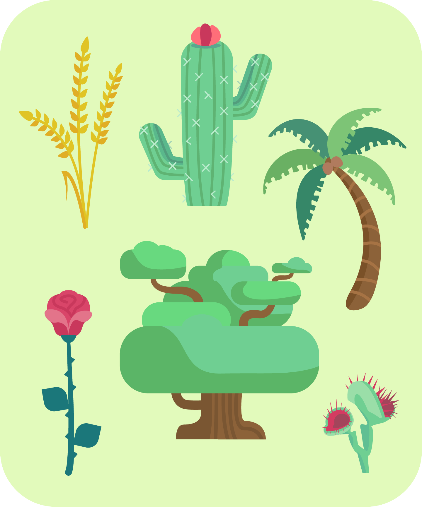 Characteristics of living organisms - Young Genius Academy