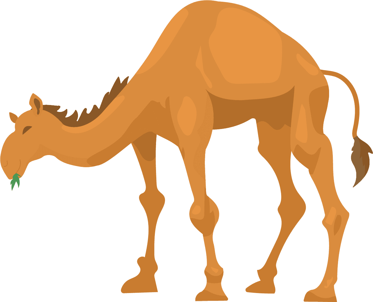 Characteristics of living organisms - Young Genius Academy